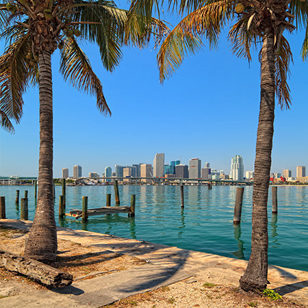 Miami - Reed diffuser recipe – My HomeScent